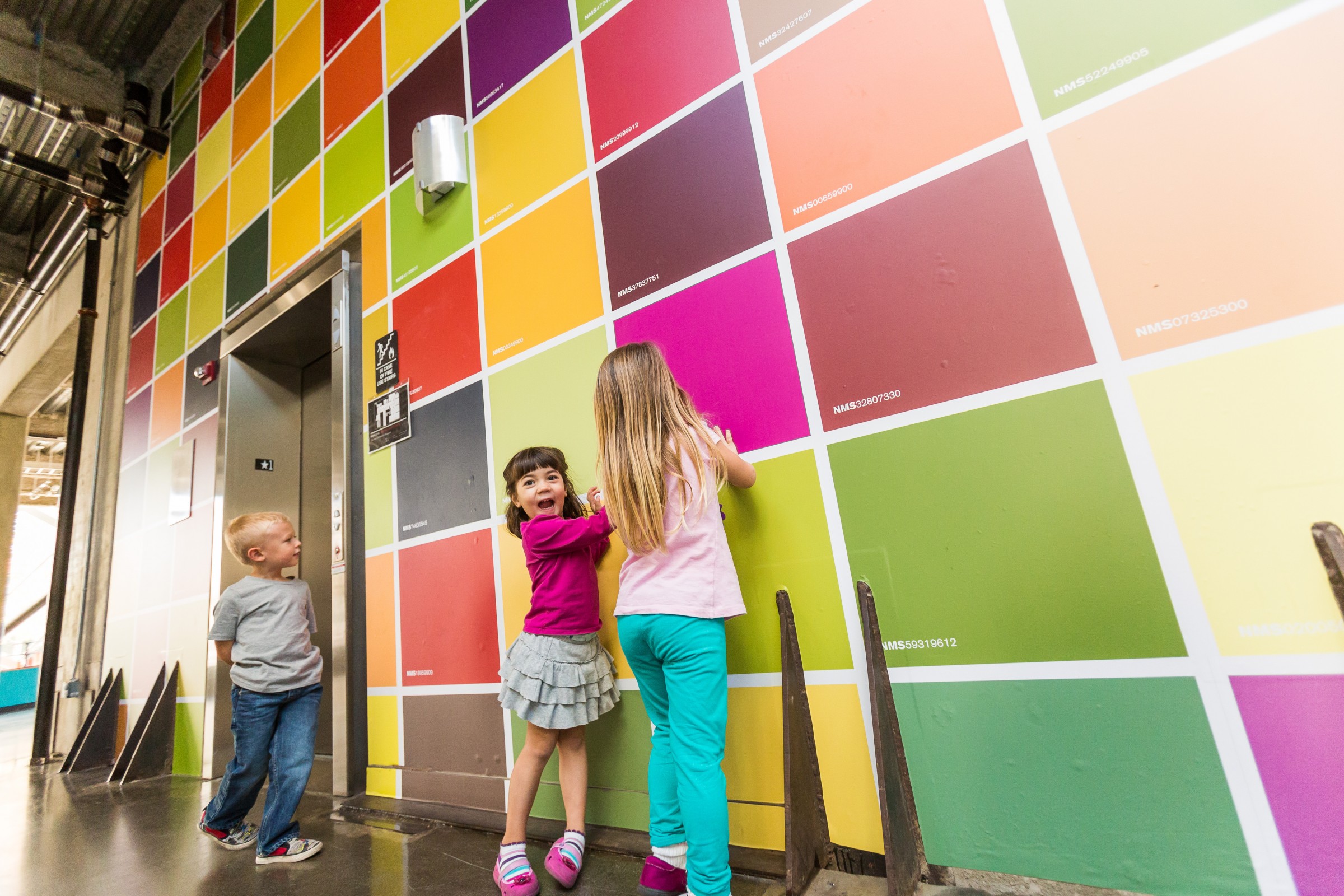 Nature Matching System | The New Children's Museum