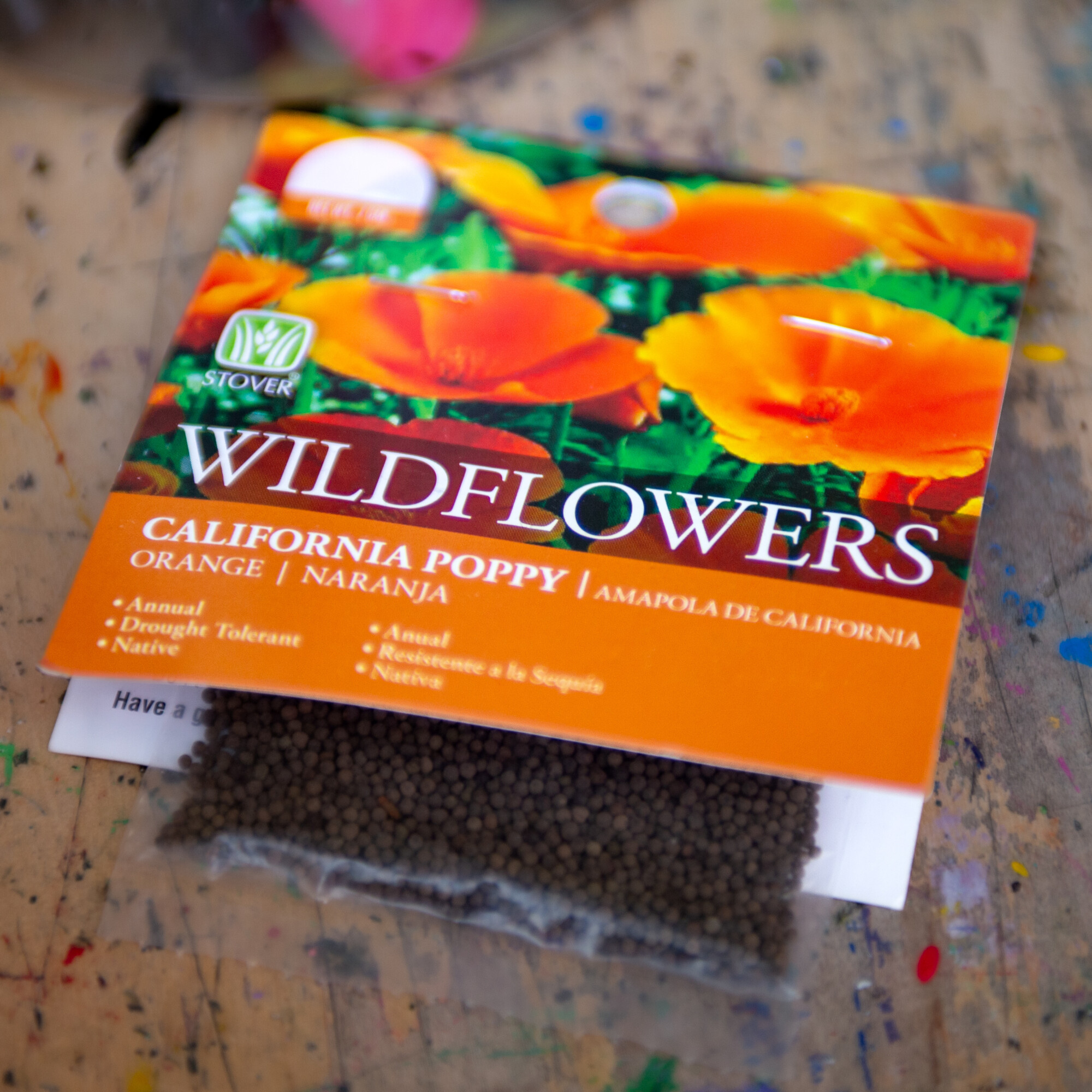 Unleashing Imagination: Exploring NCM’s Innovators Lab Workshop + Drop ...